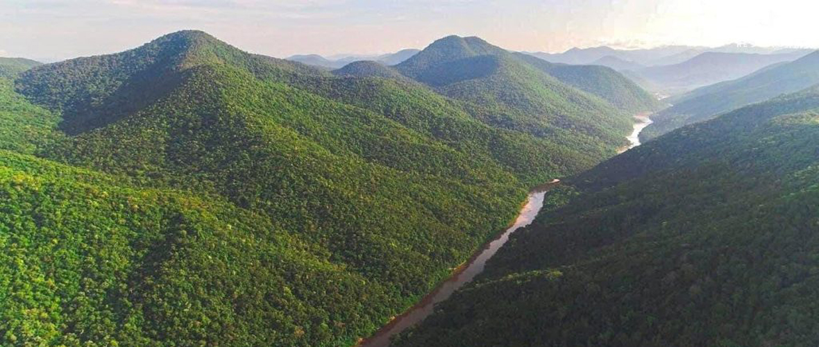 Sustainable Forest Management – Forest Products Development & Marketing ...